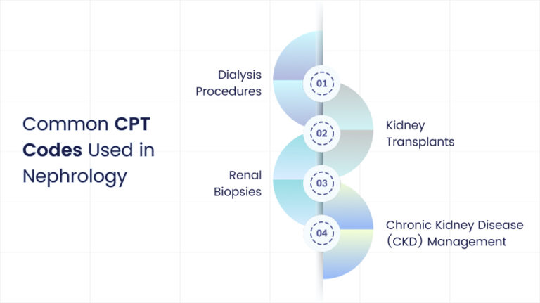 Essential Nephrology CPT Codes Guide for Billing - Medheave