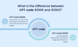 Essential CPT Codes for Transthoracic Echocardiography Billing